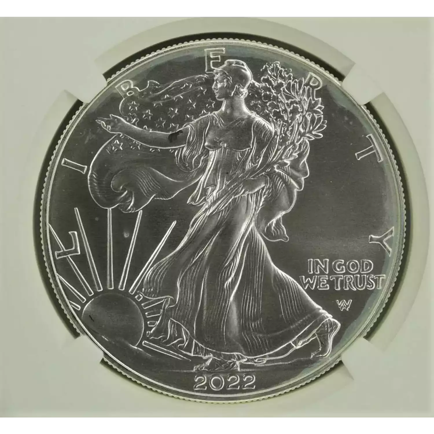 2022 Bullion Silver Eagles NGC MS-69 - Kearney Coin Center